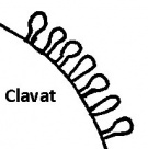 Sanchezia parvibracteata – Pollen-Wiki